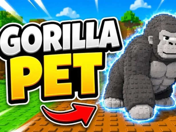 Gorilla pet explained in Build a Ring Farm Roblox