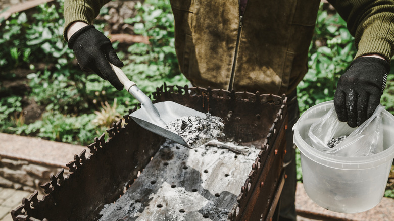 Don't throw away your BBQ grill ash — 28 plants that love it