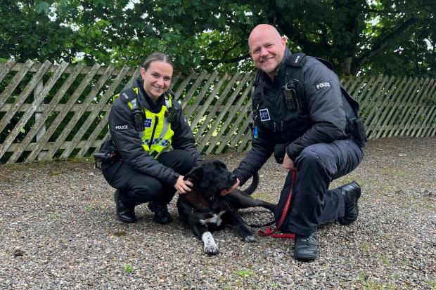 Police recover dog abandoned in train station