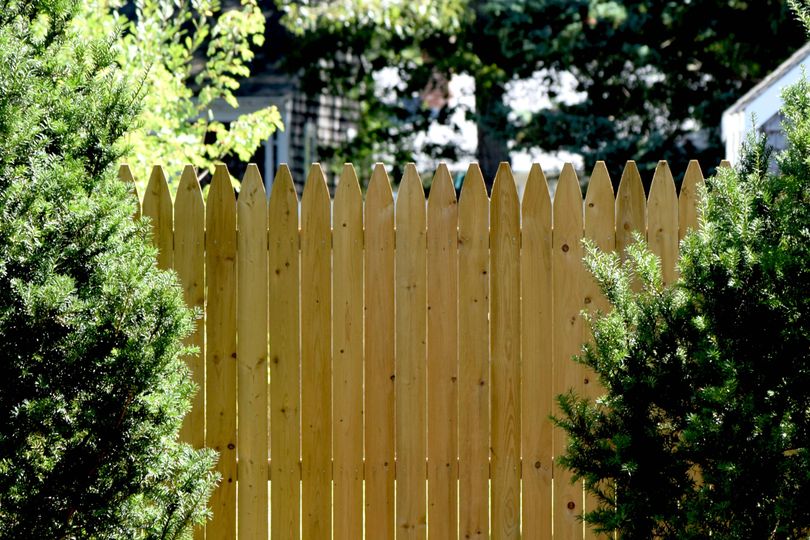 Nosy neighbours keep spying over garden fence so I'm taking nuclear action