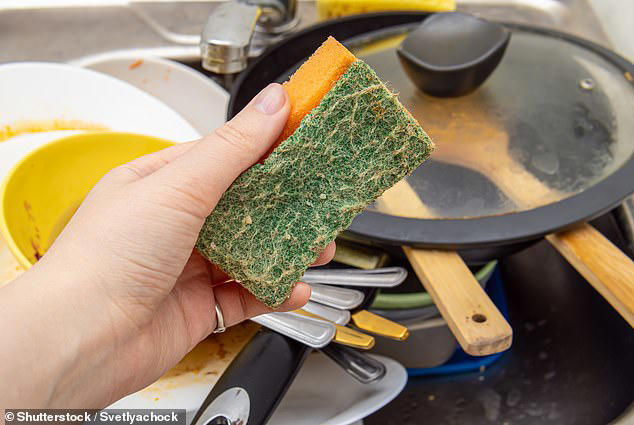 Your kitchen sponge can release millions of dangerous microplastics ...