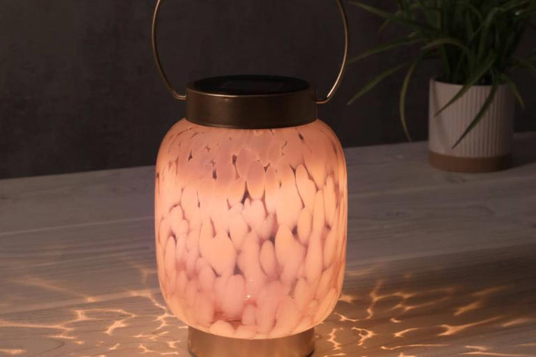 Gardens glow at dusk with B&M's stylish £3.50 confetti light