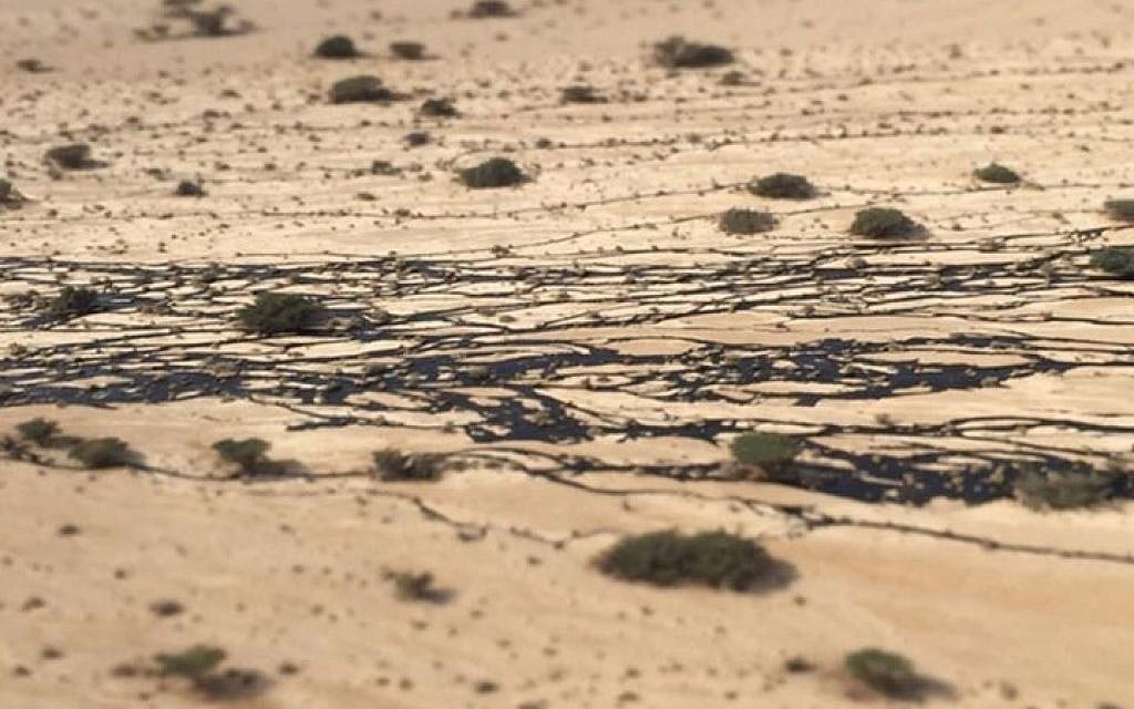 Nature authority to remove 40,000 tons of soil polluted in massive 2014 ...