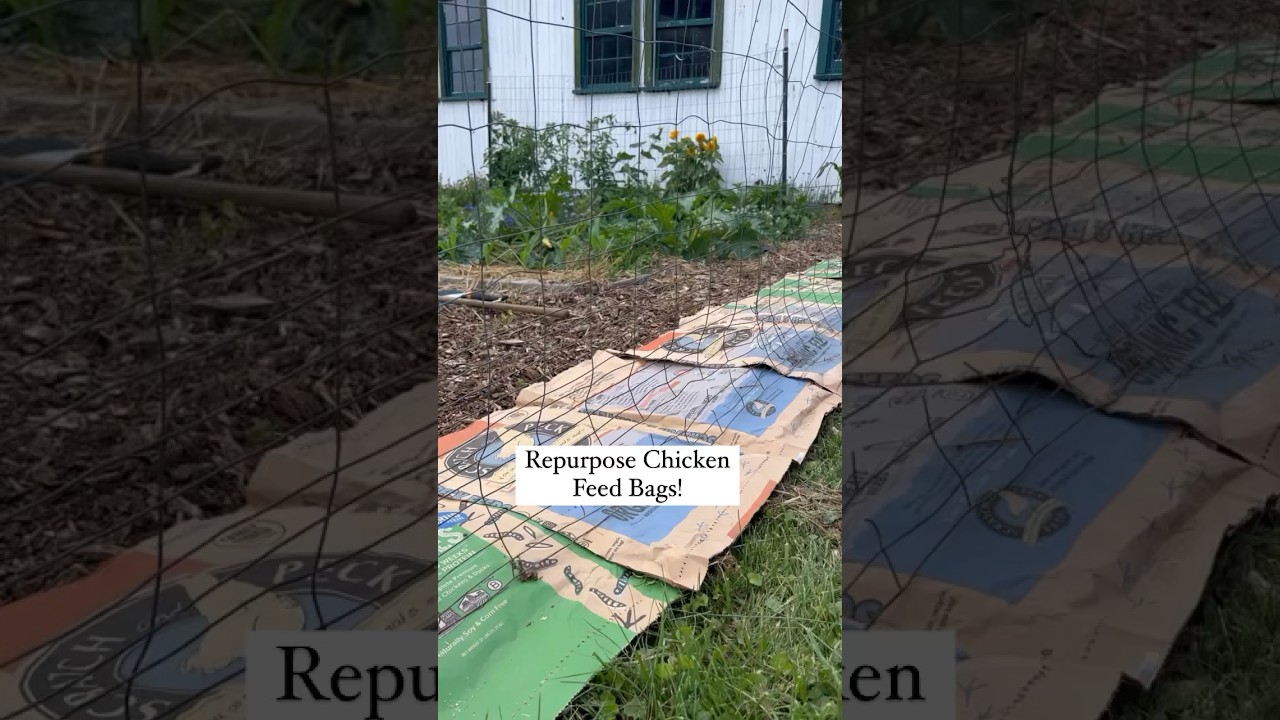 Reuse chicken feed bags for practical household projects
