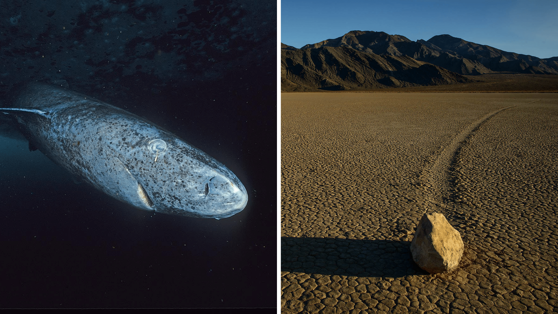 23 questions about the world that still have no answer
