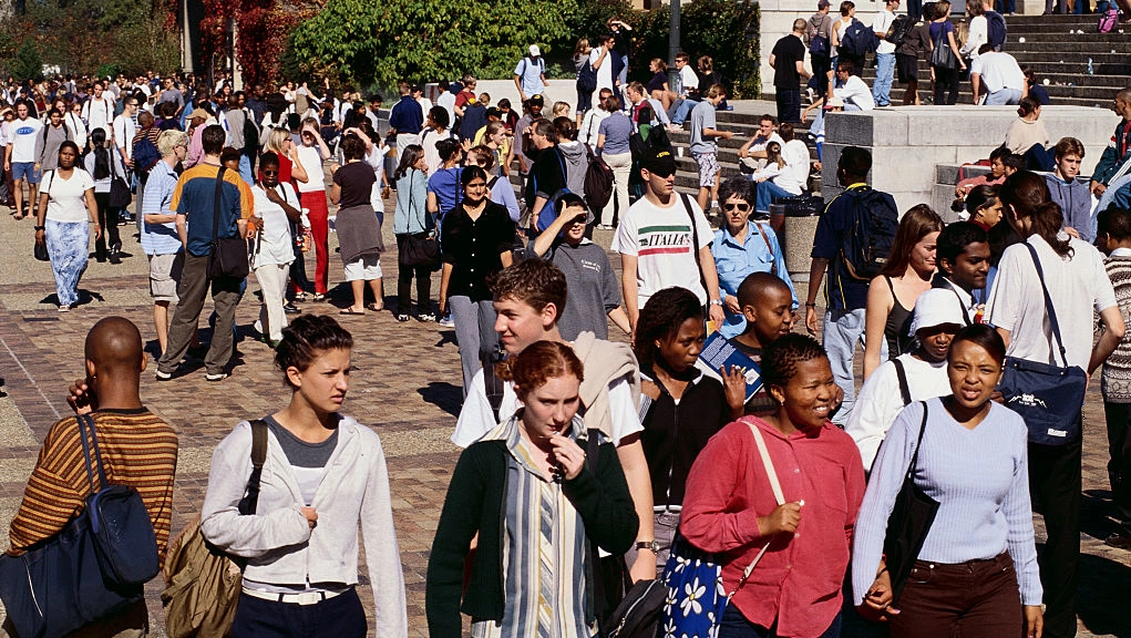 11 novels that capture the college experience
