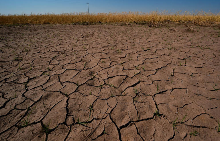 On vous explique le phénomène El Niño, qui pourrait revenir cet été