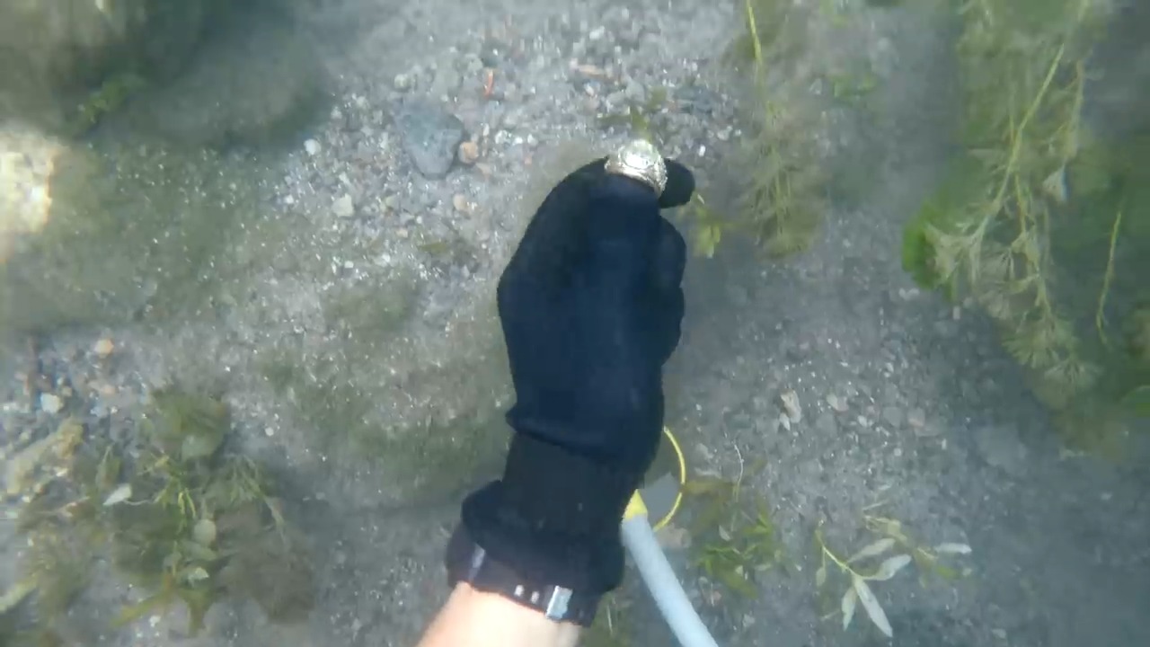 A $1,100 college ring was buried in river mud - until one diver found ...
