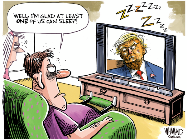 Political cartoons from Dave Whamond