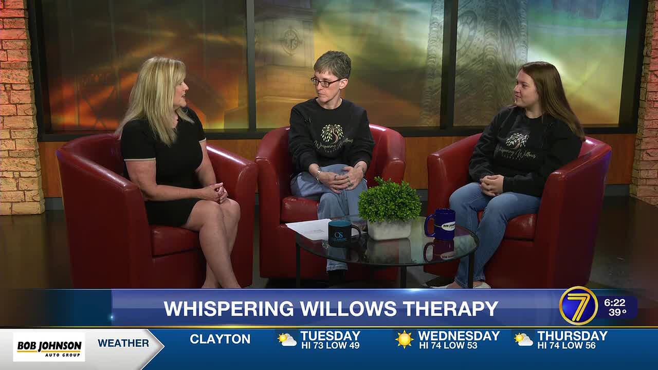 Whispering Willows Therapy open house