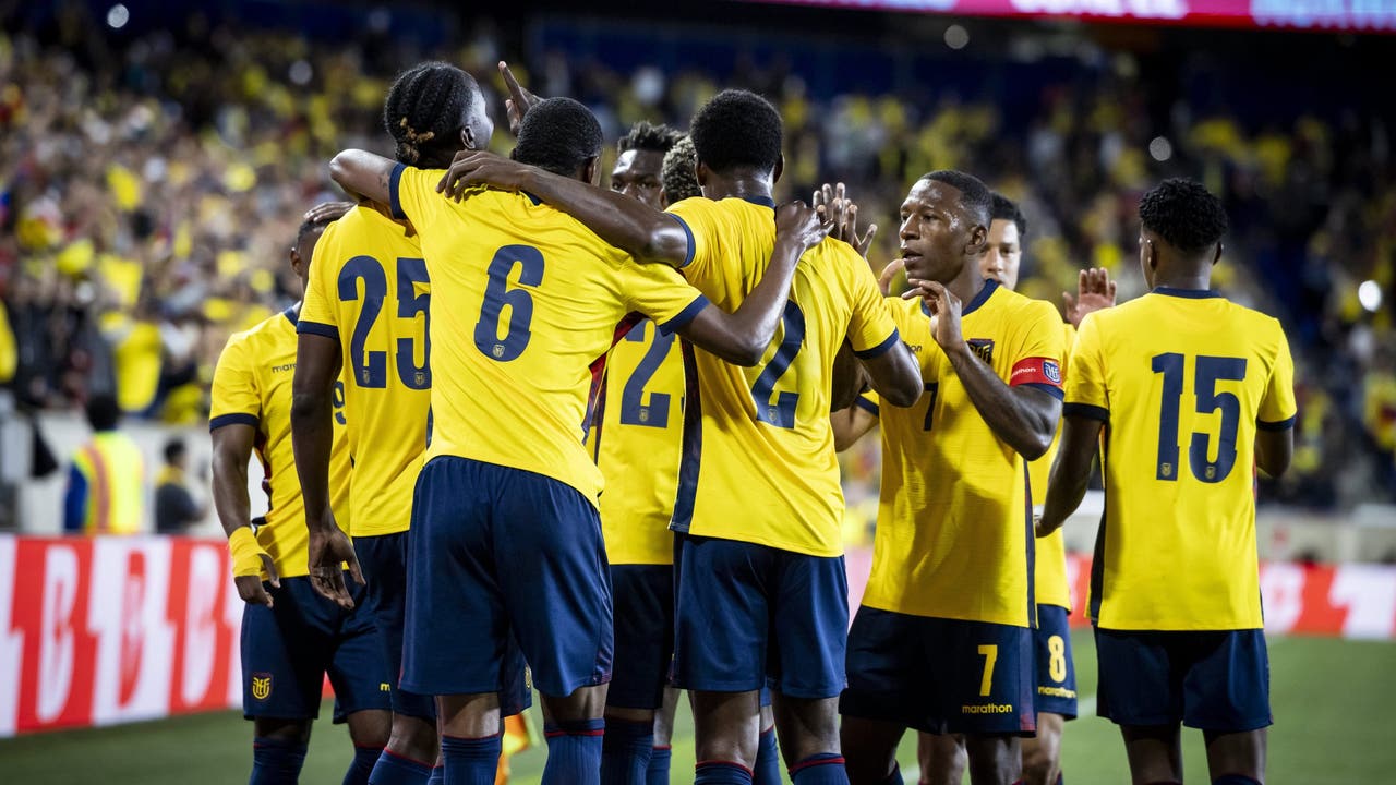 'Now they're coming to me': Lifelong fan reacts to Ecuador's World Cup ...