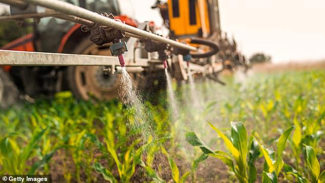 Revealed: The foods worth buying organic - and where you're wasting ...