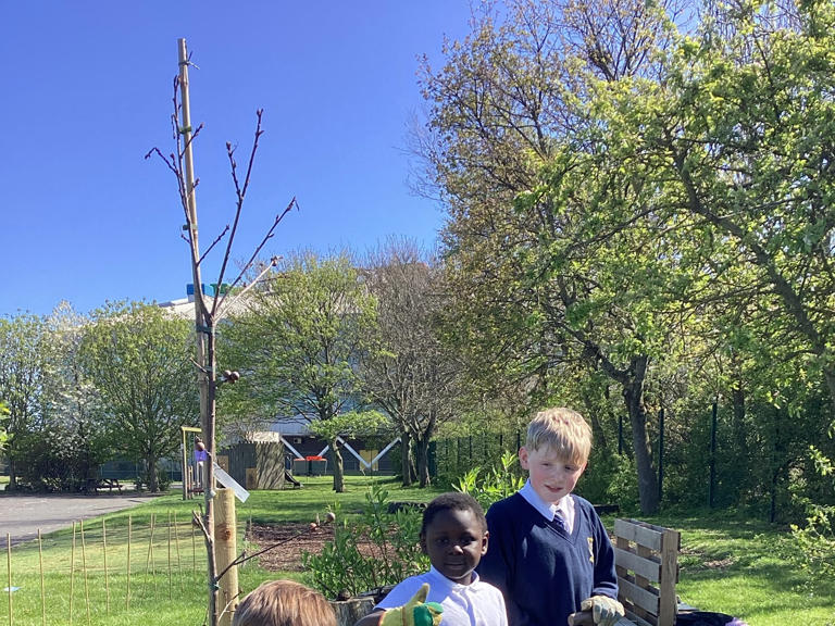Whitley Bay pupils work towards greener future