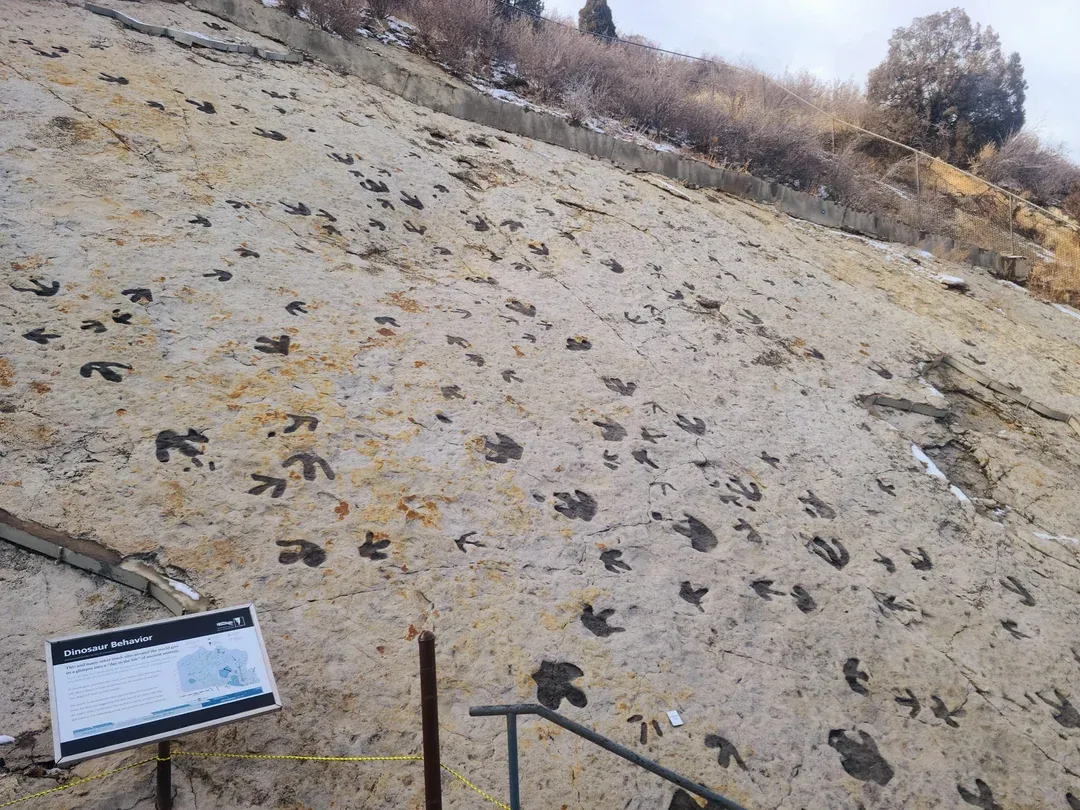 15 of the best places in the world to see dinosaur tracks