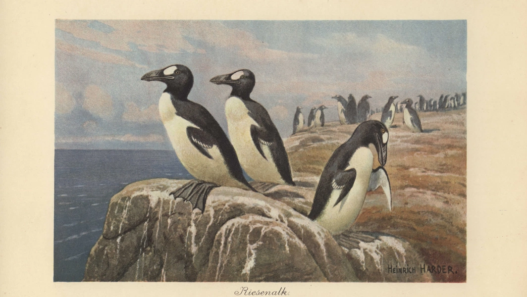 10 animals humans hunted to extinction or near collapse