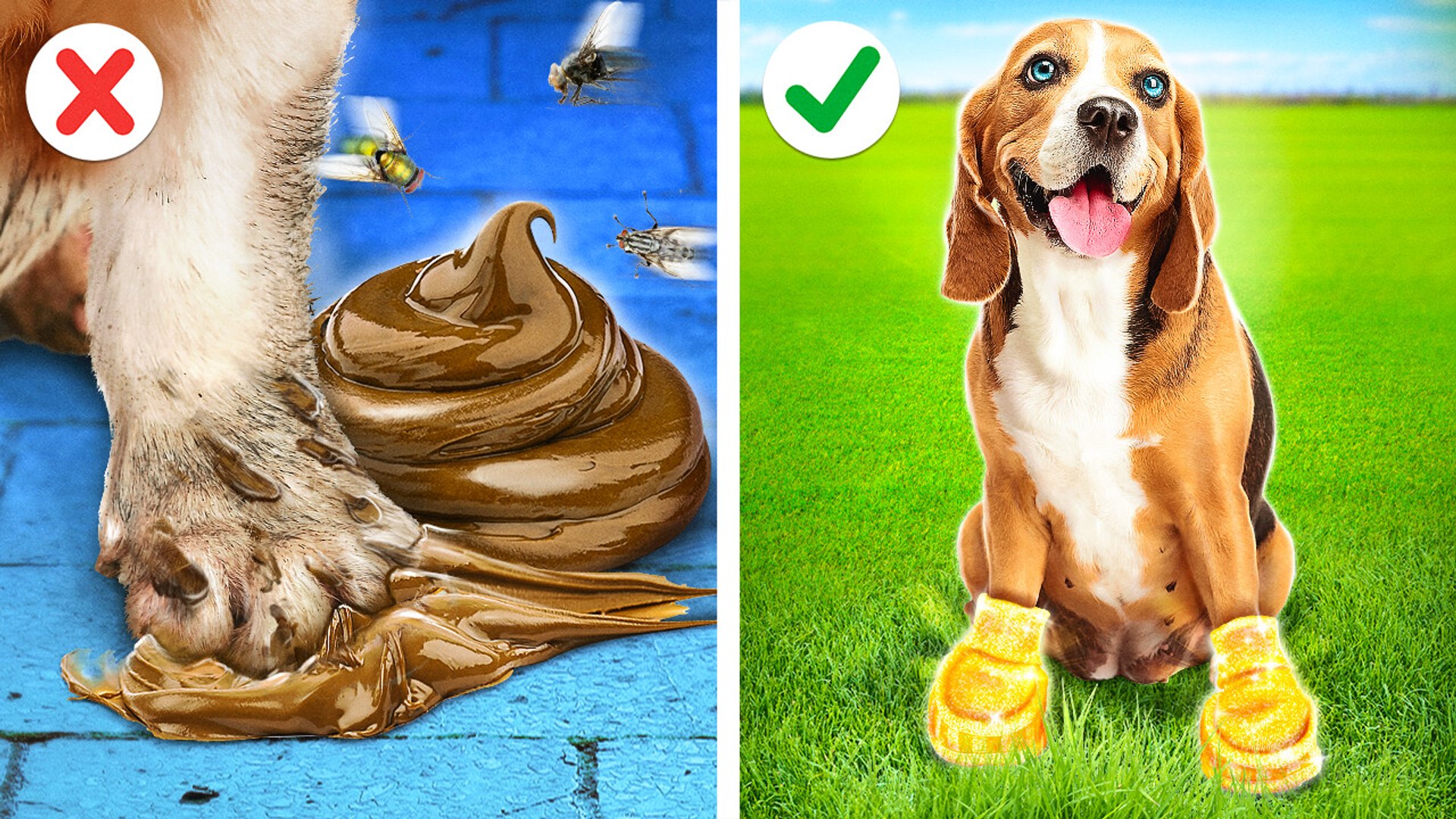 Creative DIY ideas for pampering your pets