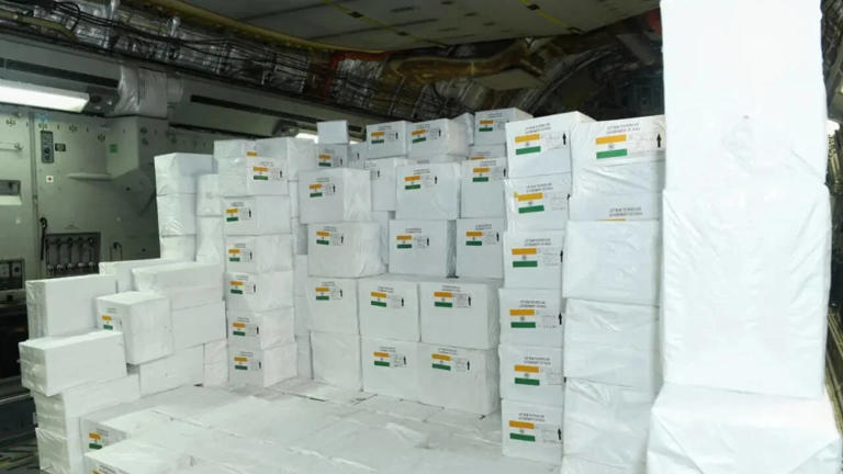 Ebola outbreak: India sends 43 tonnes of aid to Africa CDC in second ...