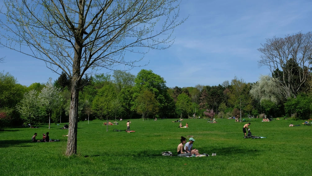 One-hour nature walk found to reduce brain stress activity
