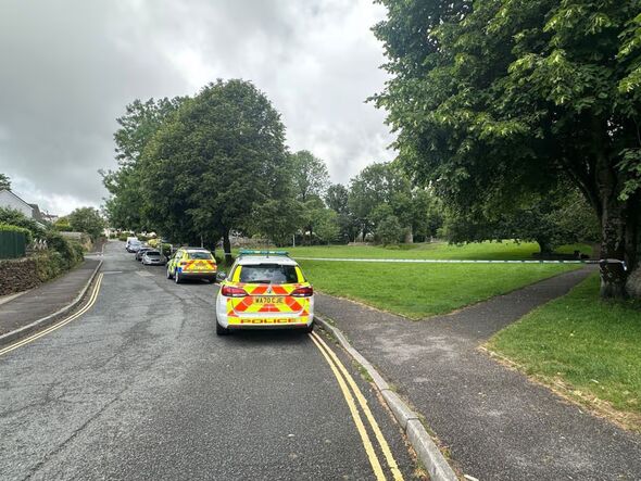 Police descend on park in St Austell after serious sexual assault on a man