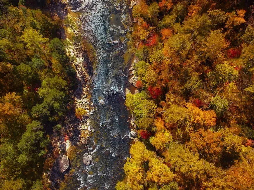 The 7 clean rivers in America - and No. 1 isn't where you'd guess