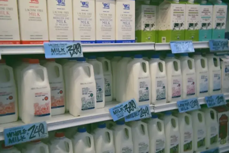 The oat milk debate: Why baristas are quietly switching back to dairy