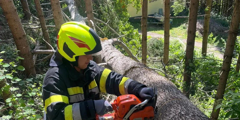 Baum drohte auf Garage zu rutschen – Einsatz im steilen Gelände