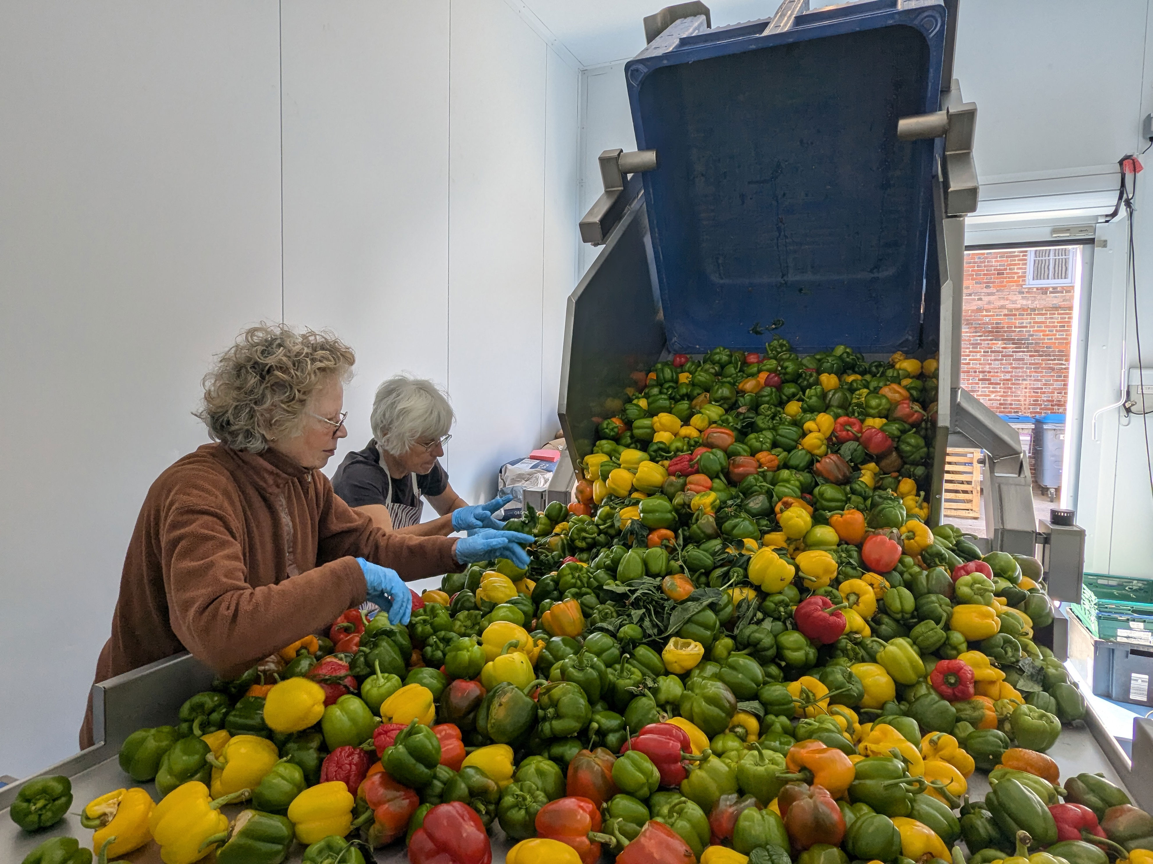 UKHarvest is celebrating volunteers this Volunteer’s Week