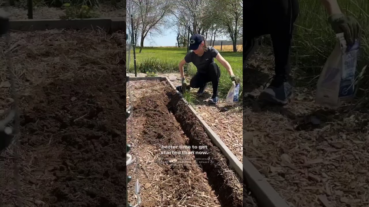 Start a homestead lifestyle with practical beginner guidance