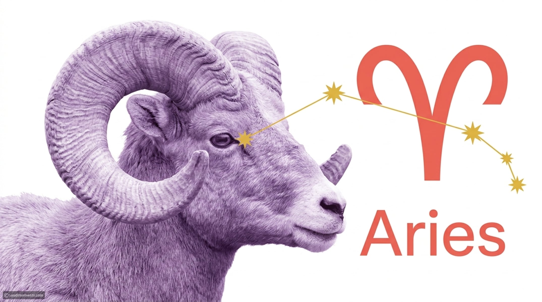 The zodiac signs blessed with exceptional intellectual power