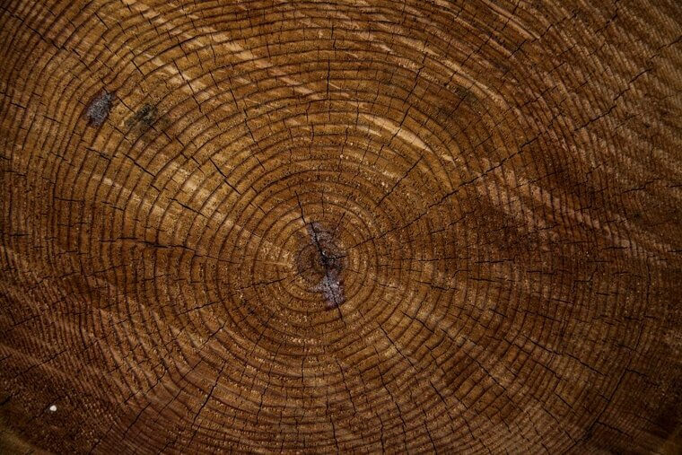 What old-growth salvaged wood has that nothing coming out of a lumber ...
