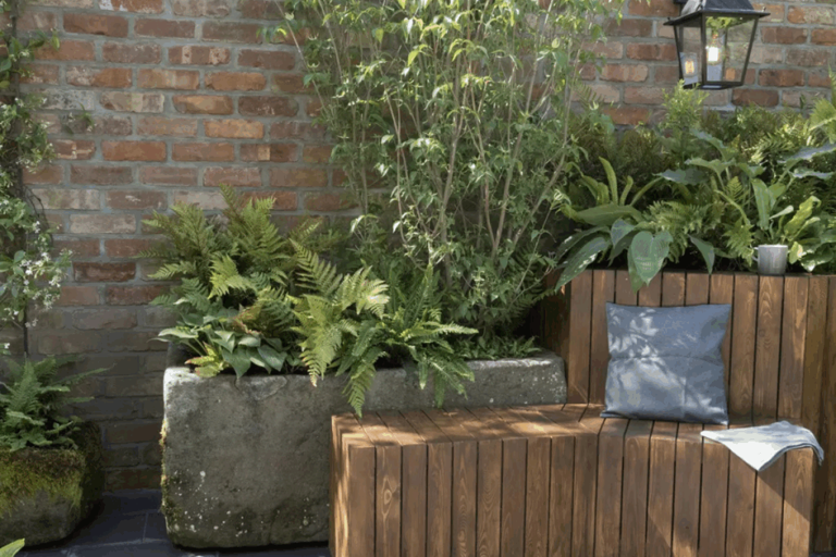 Say goodbye to slugs, this plant that thrives in the shade is the ...