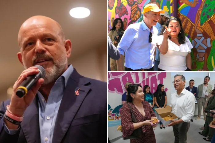 Hilton, Becerra, and Steyer make final pitch in California’s chaotic ...