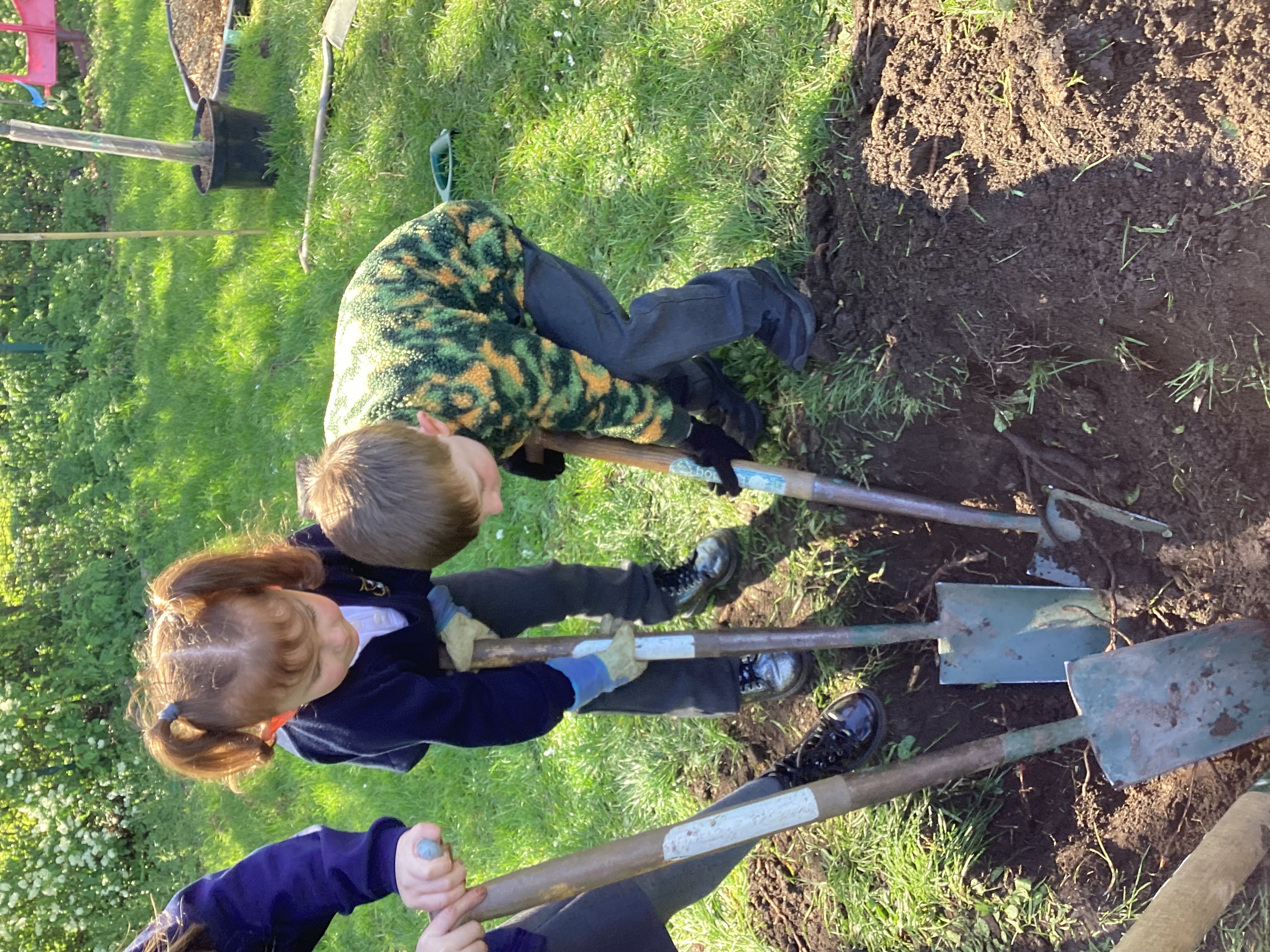 Whitley Bay pupils work towards greener future