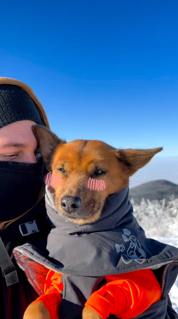 Mable genießt den Ausflug in die verschneiten Berge