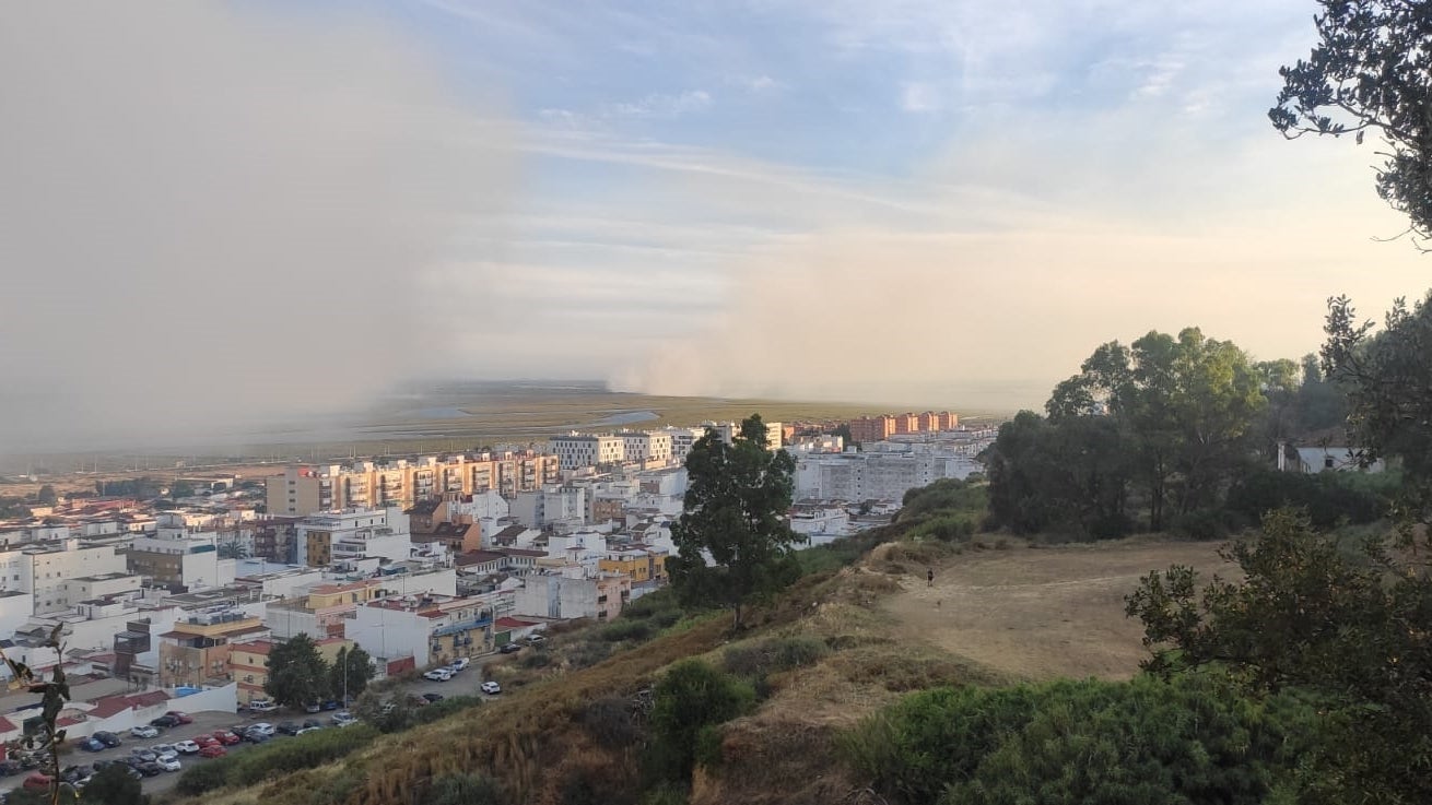 Infoca trabaja desde madrugada en Marismas del Burro por reproducción ...