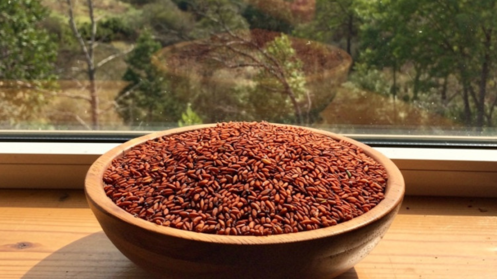 Top 5 health benefits and uses of halim seeds