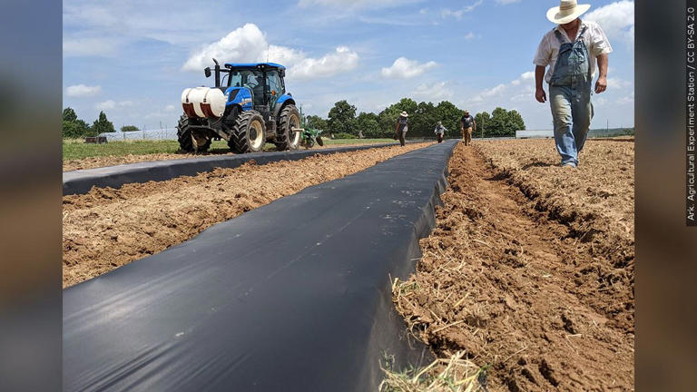 Winnebago County farmers navigate second driest May on record