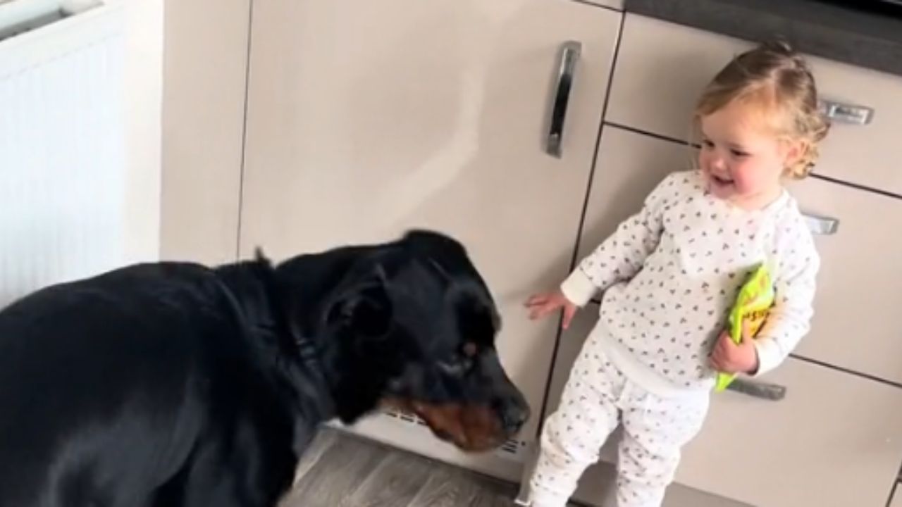 Young girl achieves success with her dog's training