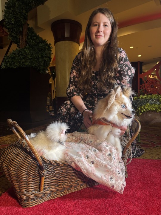 Celebrity Catwalk hosts 13th annual Pet Fashion Week in Greenville June 4-8