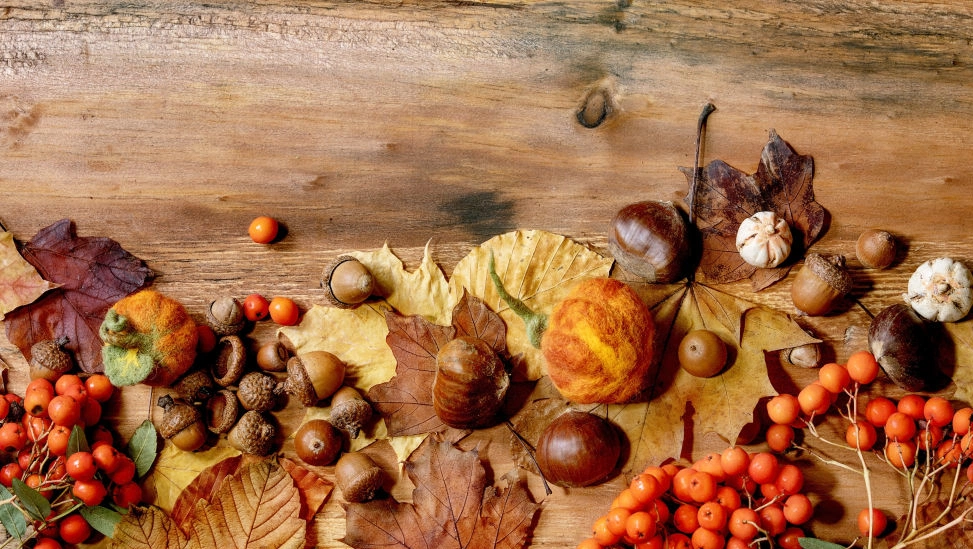 Fall cleaning tips for a cozy reset