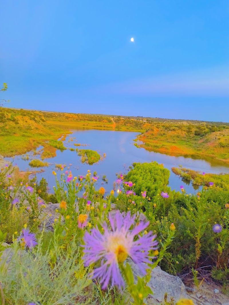 This quiet Texas lake feels like the kind of place people spend years ...