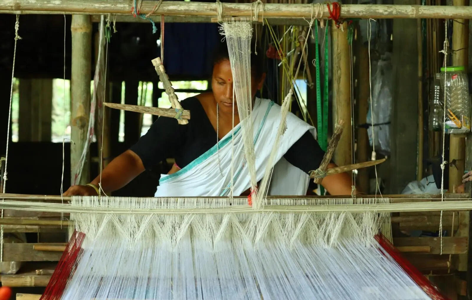 Kaziranga launches online marketplace for fringe community crafts