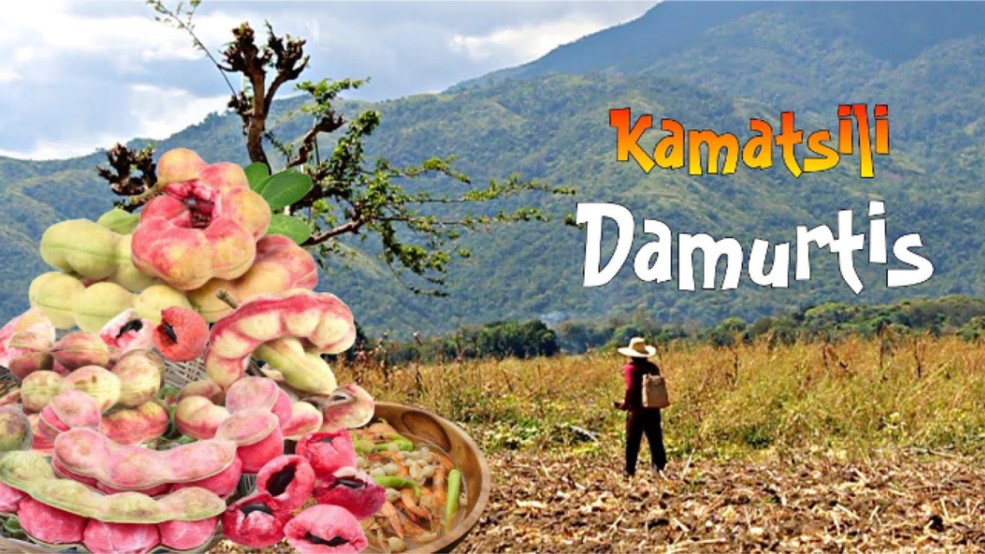 From fruit to plate: The delicious journey of camachile