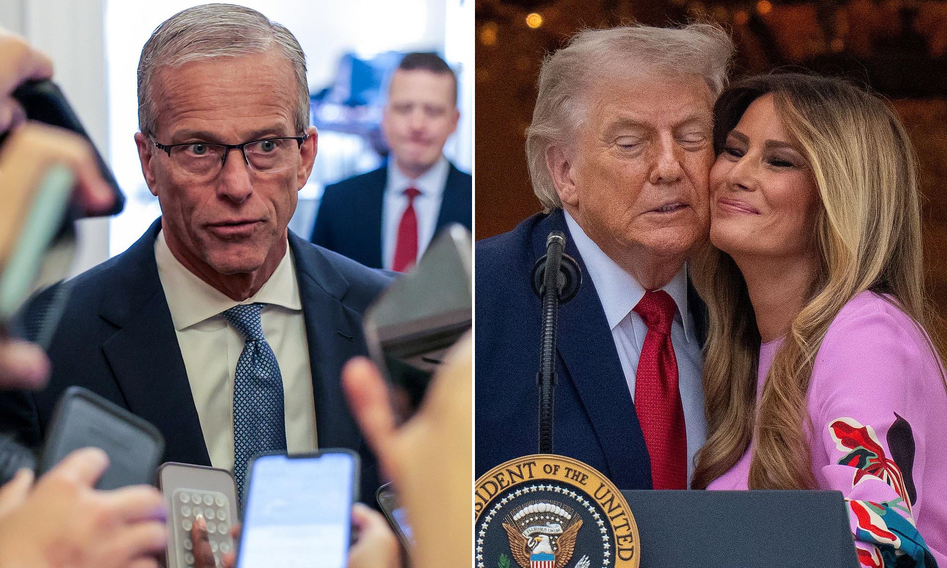 Trump's top Senate ally knifes president with brutal four-word jab ...