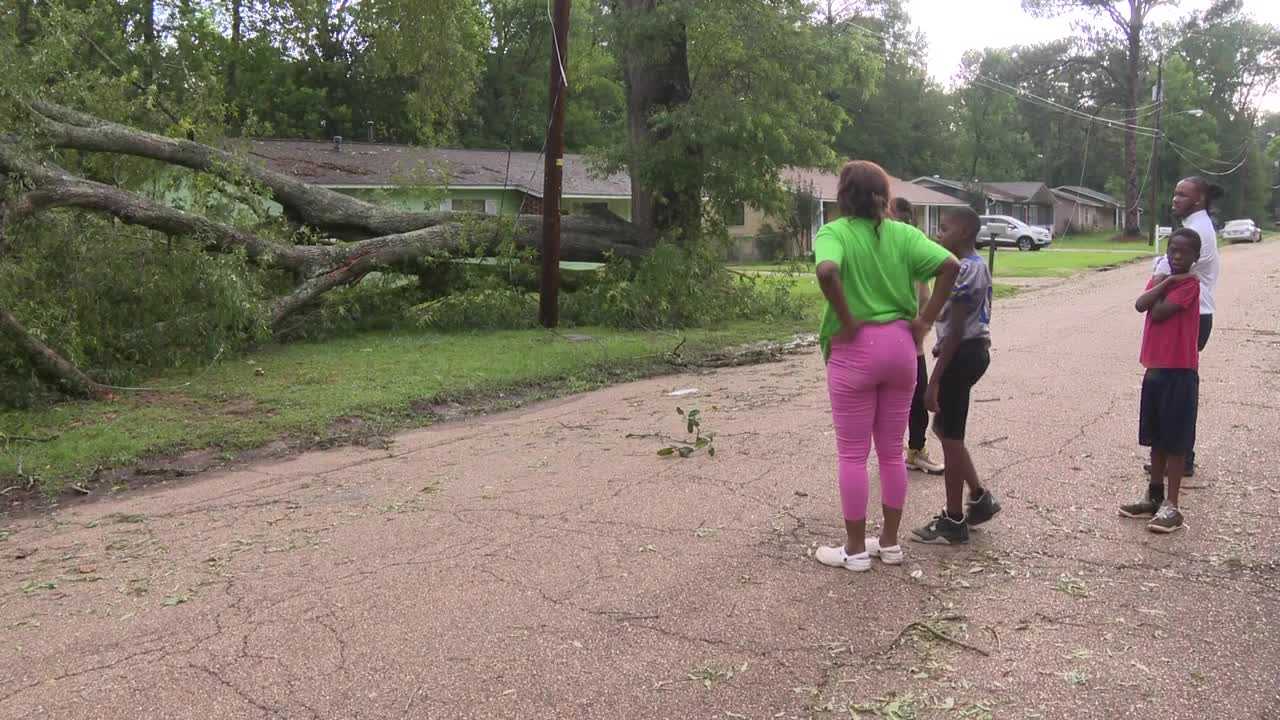 Massive tree falls on house, leaving Jackson family without a place to stay