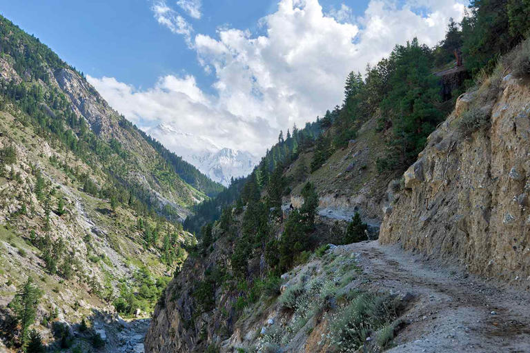 At least 7 killed after tourist jeep plummets into ravine while ...