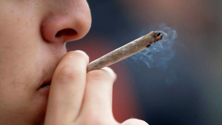Scientist explains 'only two methods' to stop weed smoker's horrific ...