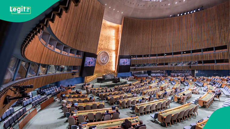 2026: Full names of Nigerian and organizations based in Nigeria on UN ...