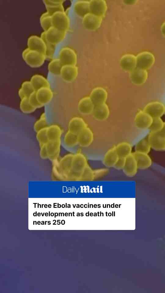 Three Ebola vaccines fast-tracked as outbreak continues to grow