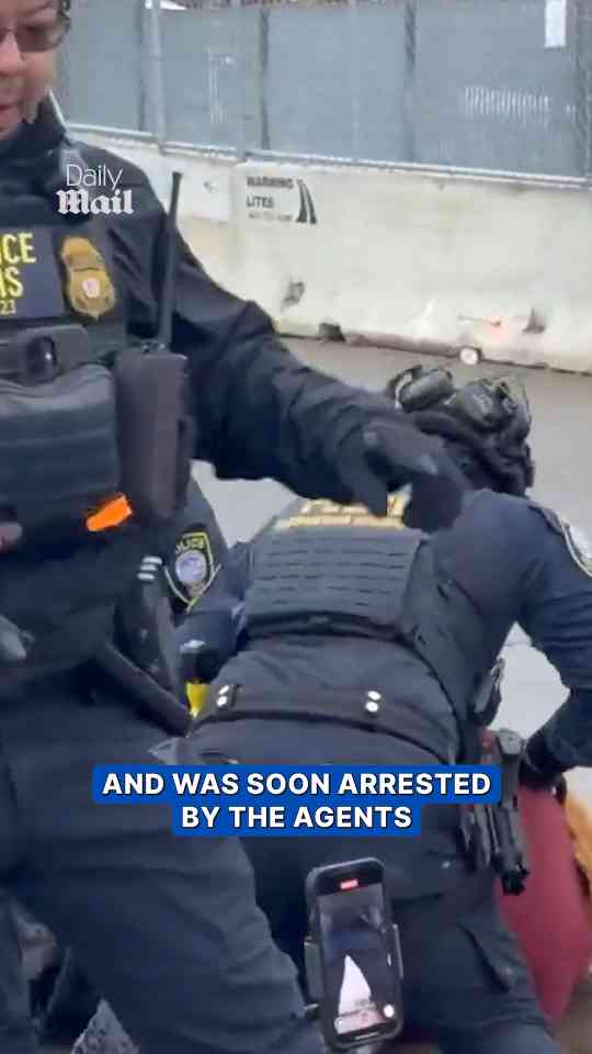 Dancing fox-costumed protester tackled by agents during anti-ICE ...